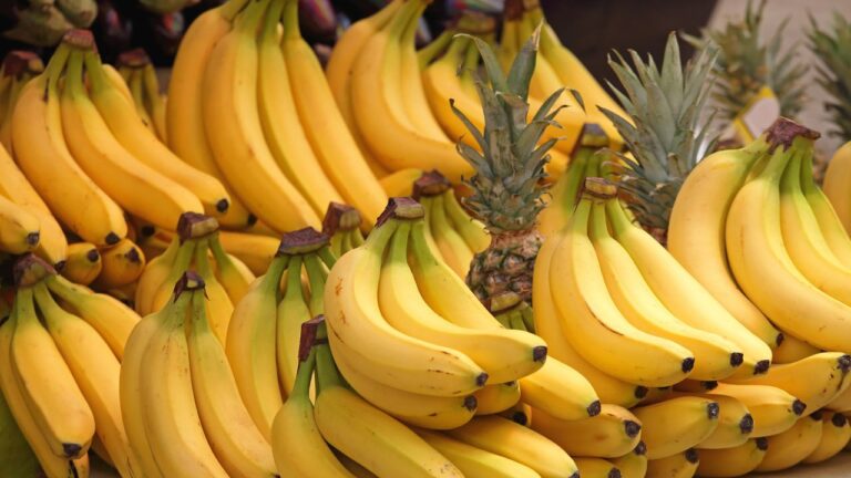 7 Fruits to Delay Aging and Boost Skin Health Naturally