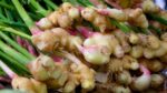 Ginger: Health Benefits, History, Origin, and More