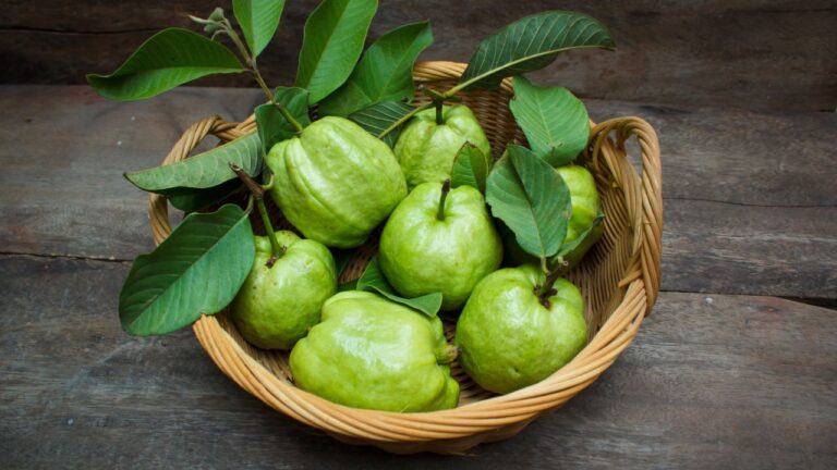 10 Fruits for Energy to Beat Fatigue and Boost Vitality