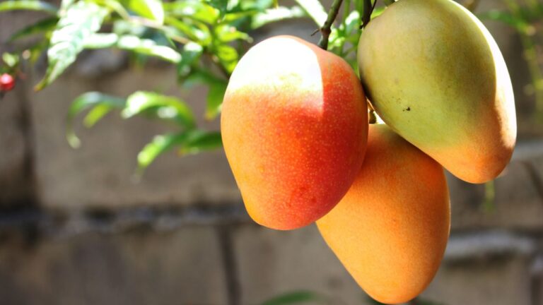 7 Best Fruits for Muscle Gain You Should Add to Your Diet