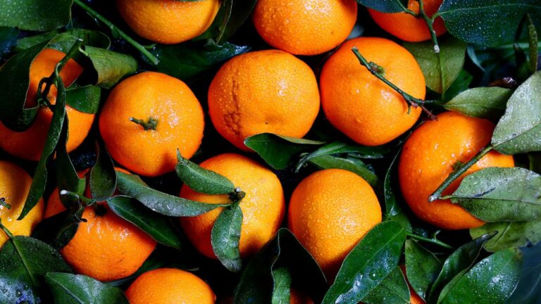 7 Fruits to Eat When Sick for Recovery