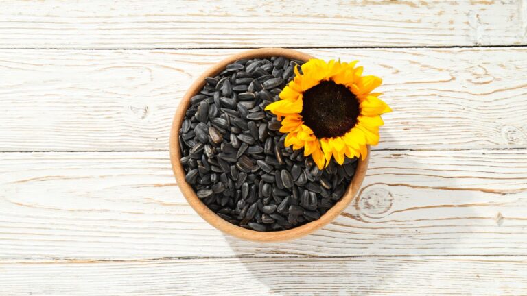Sunflower Seeds: Nutrition, Health Benefits, and Common Uses