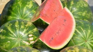 7 Fruits to Eat When Sick for Recovery