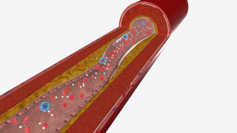 What Is Bioavailability? Drug Absorption and Metabolism