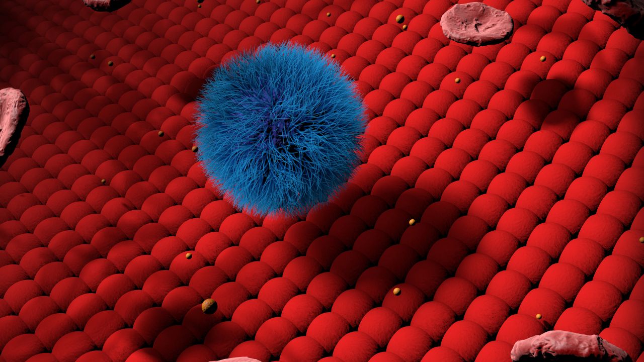 What Is Bioavailability? Drug Absorption and Metabolism