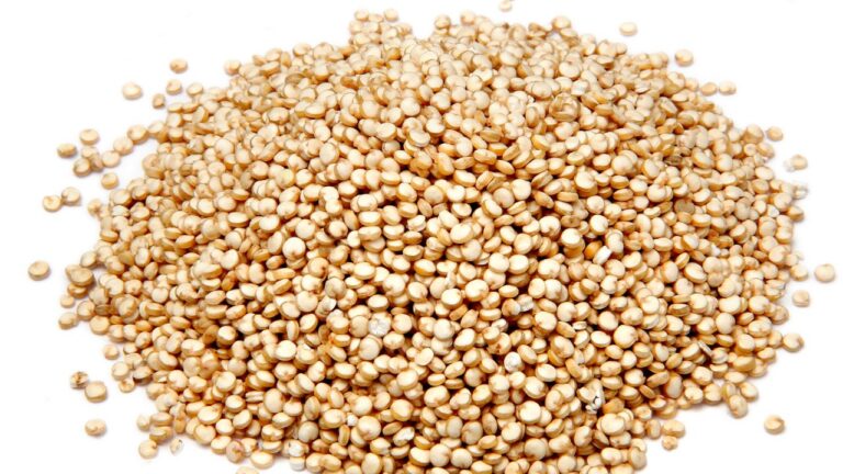 Quinoa: A Complete Guide to Nutrition, Benefits, and Recipes