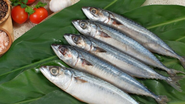 Sardines: A Delicious and Nutritious Food Source