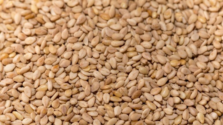 Sesame Seeds: Health Benefits, Nutrition, and How to Use